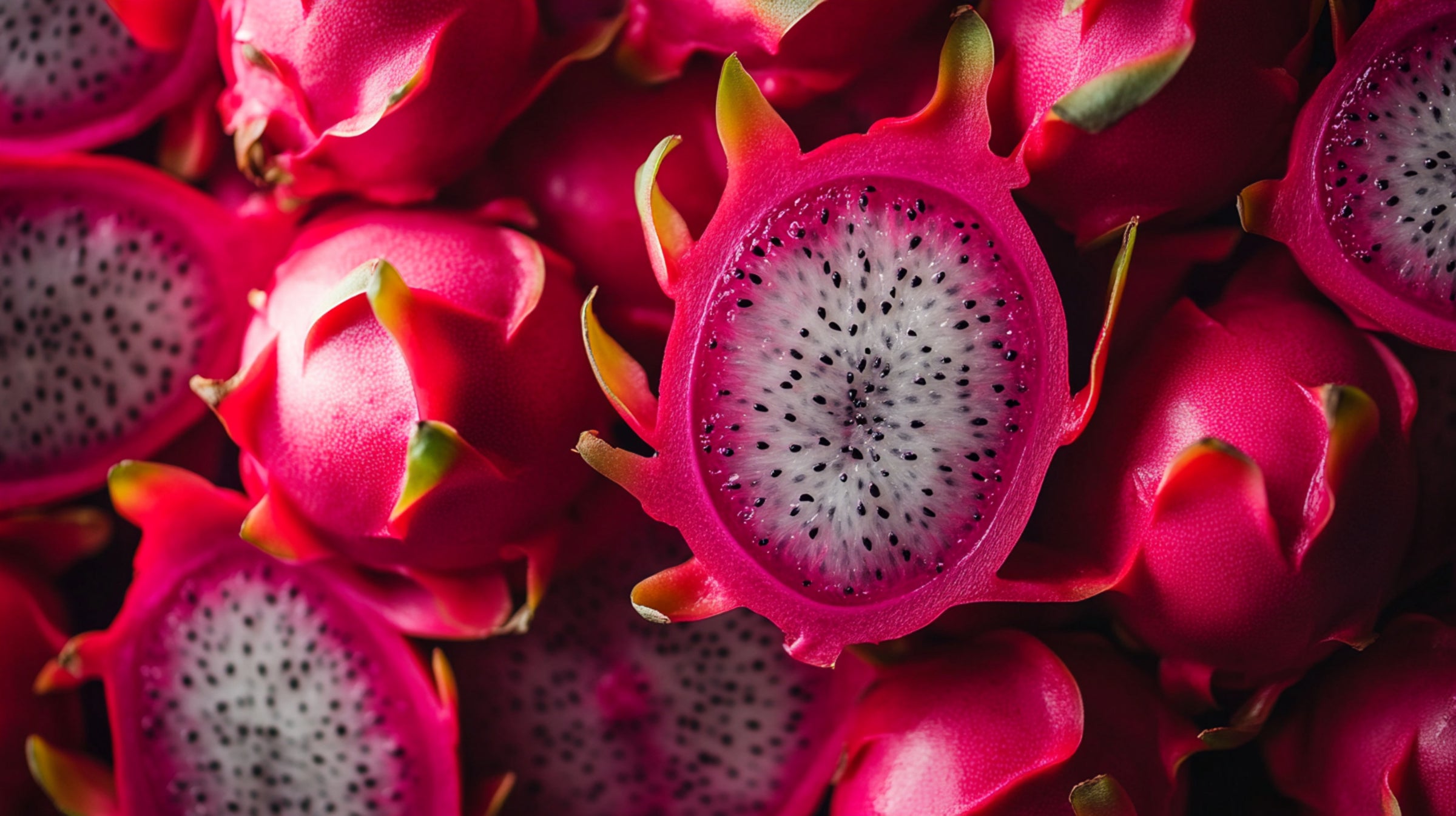 Uncle Ed's Premium Spirits